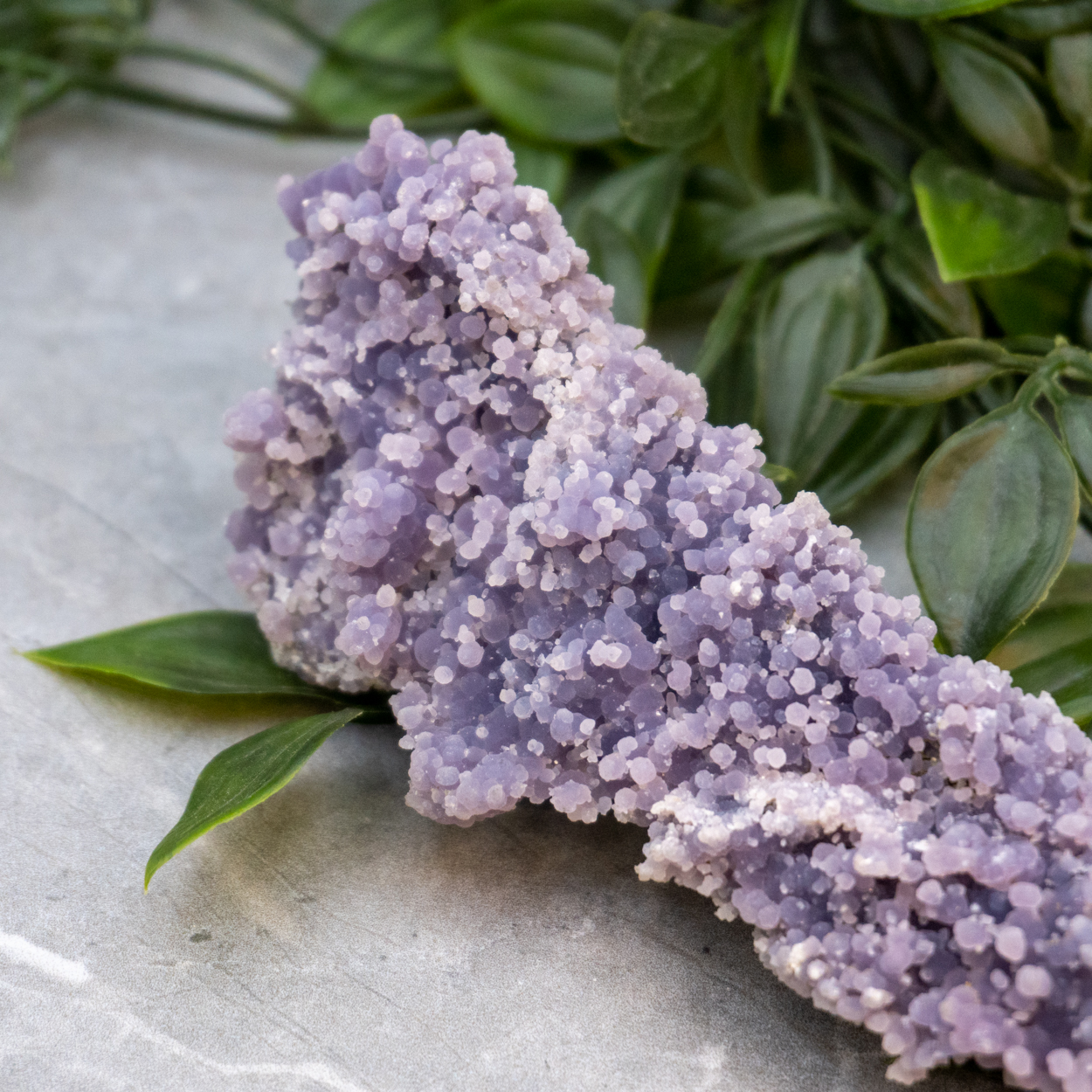 Grape Agate Raw #1 - The Crystal Council