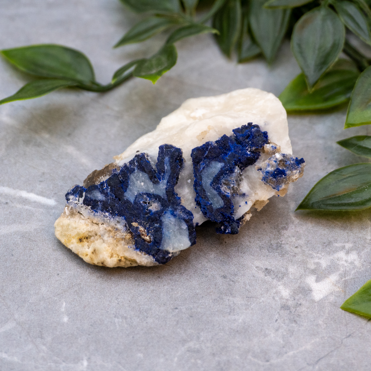 Afghanite #5 - The Crystal Council