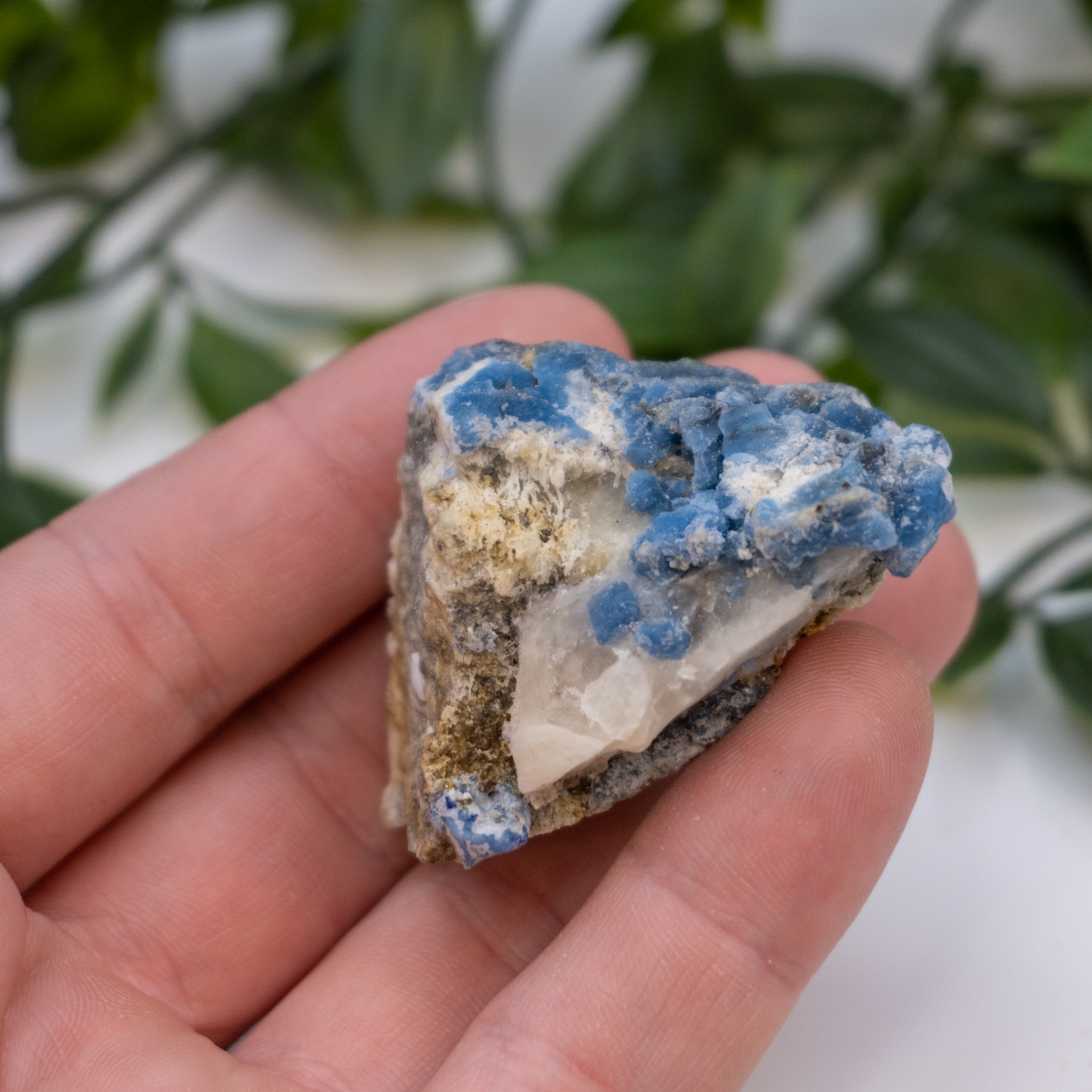 Afghanite #4 - The Crystal Council