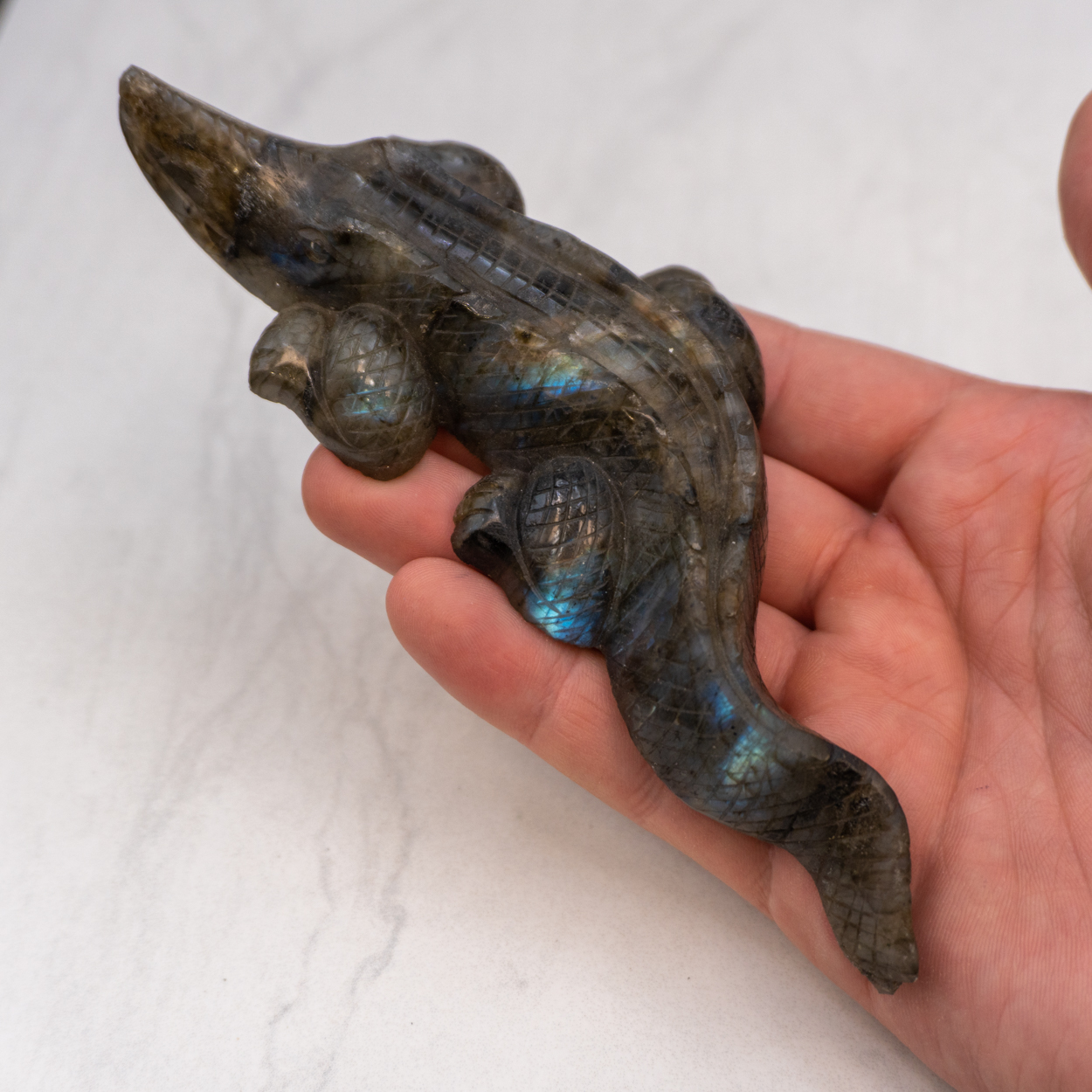 Labradorite Alligator - The Crystal Council