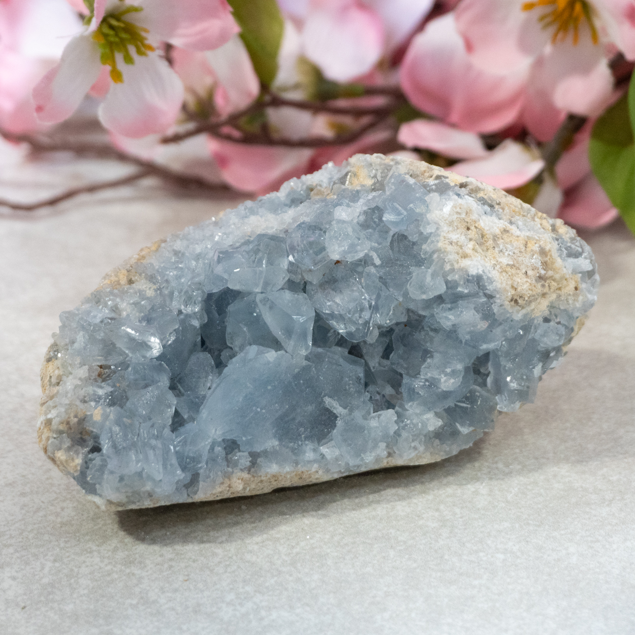Celestite #8 - The Crystal Council