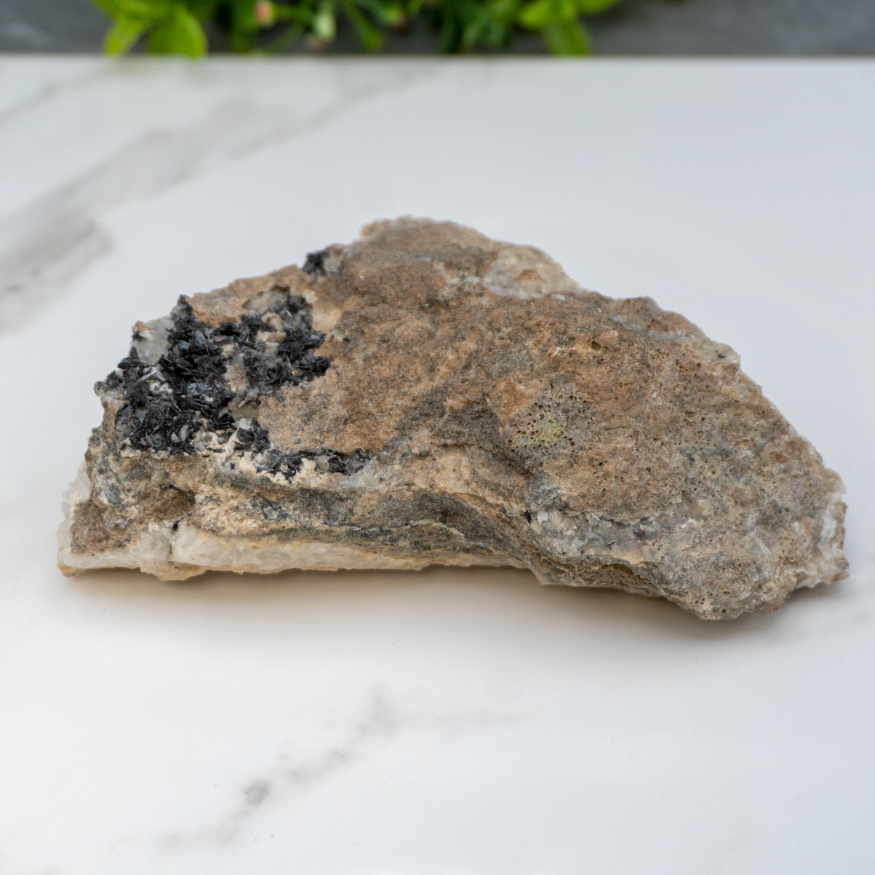 Neptunite #1 - The Crystal Council