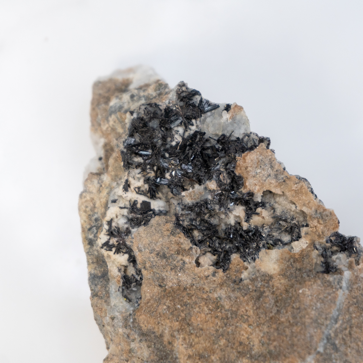 Neptunite #1 - The Crystal Council