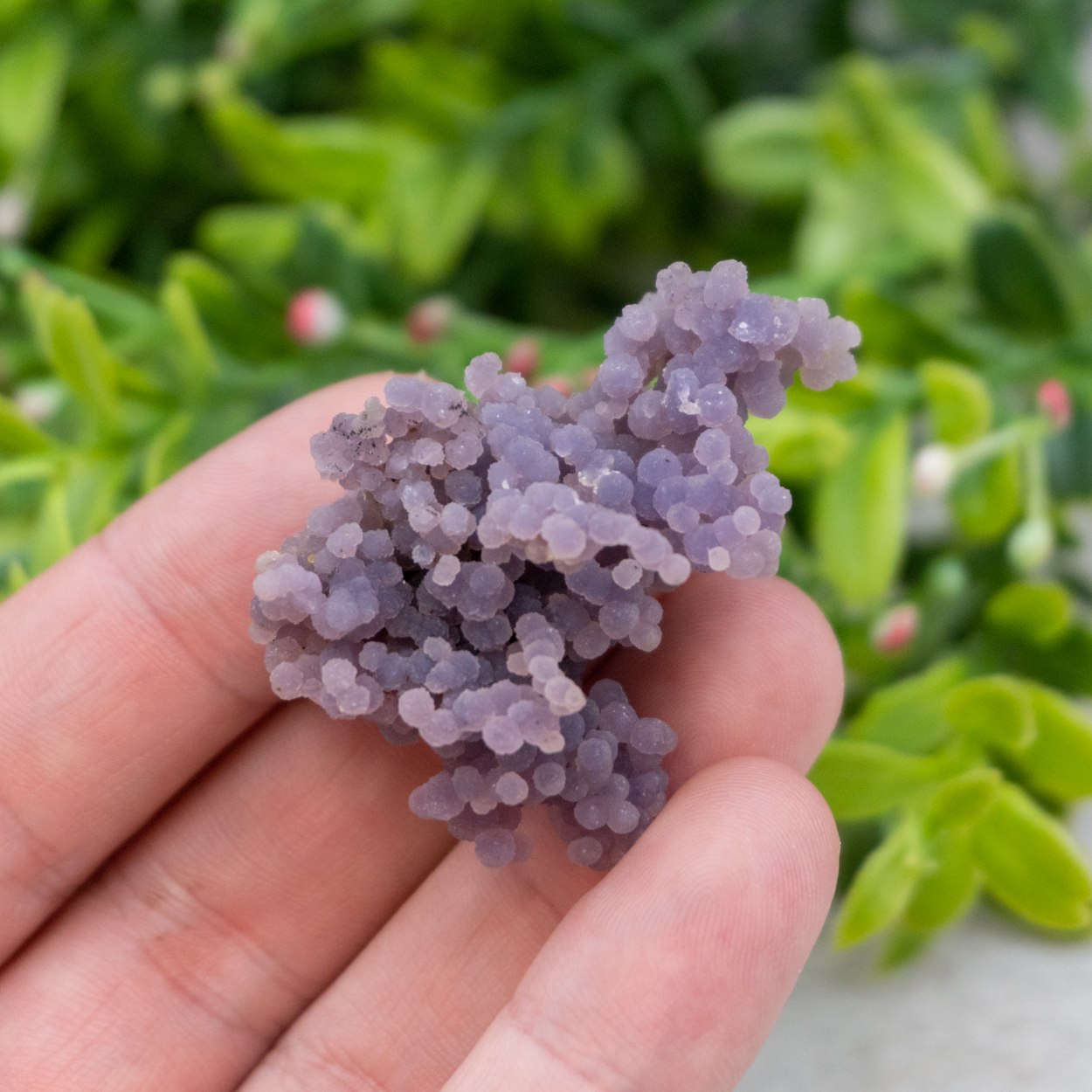 Medium Grape Agate #6 - The Crystal Council