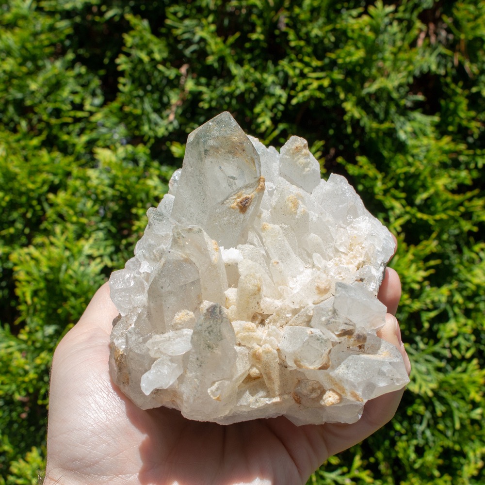 Chlorite in Quartz Family Cluster - The Crystal Council