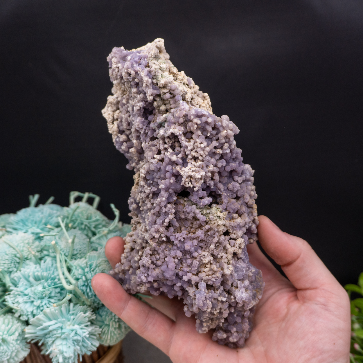 Large Grape Agate #4 - The Crystal Council