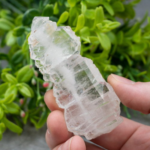 Sun Crystals - The Crystal Council