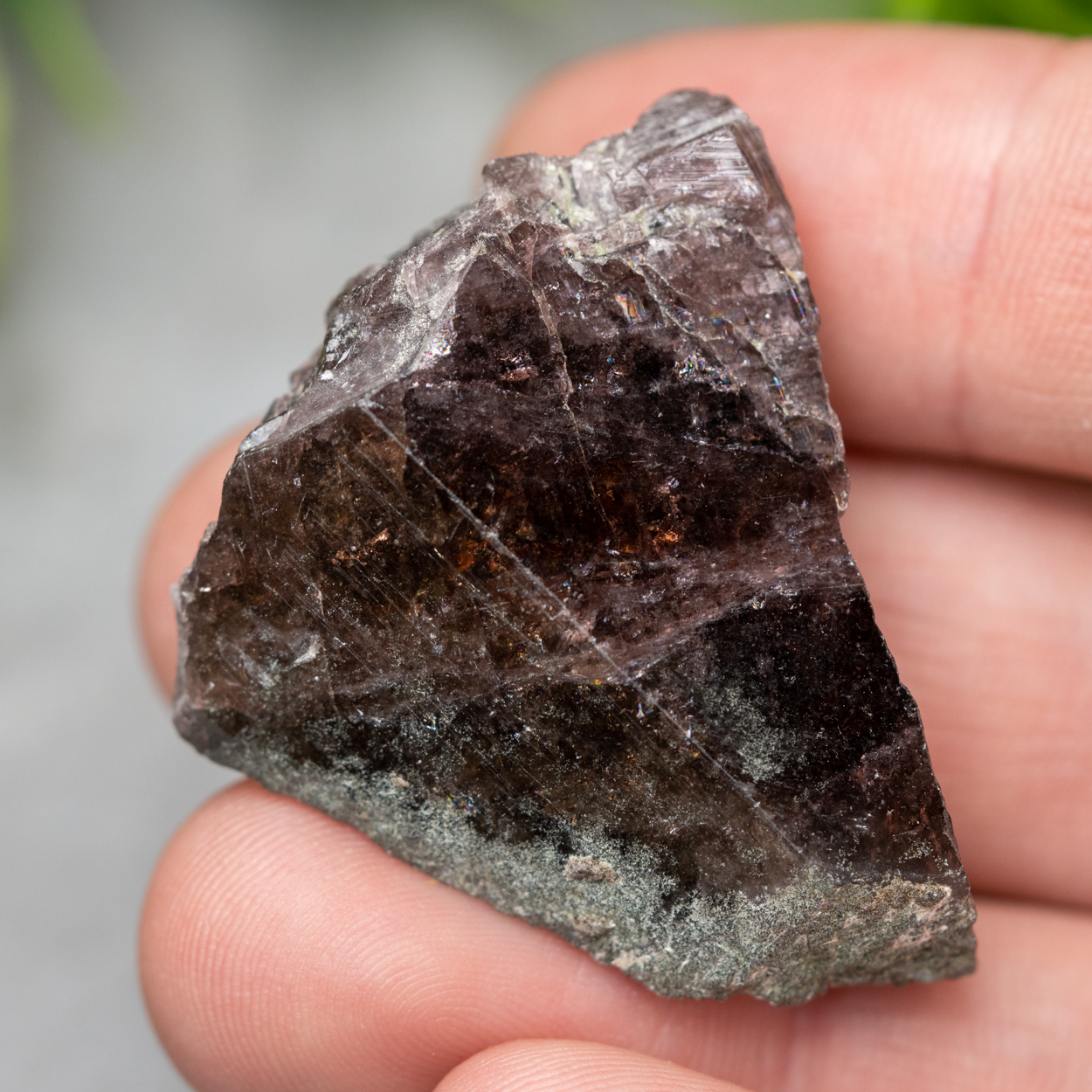 Axinite #3 - The Crystal Council