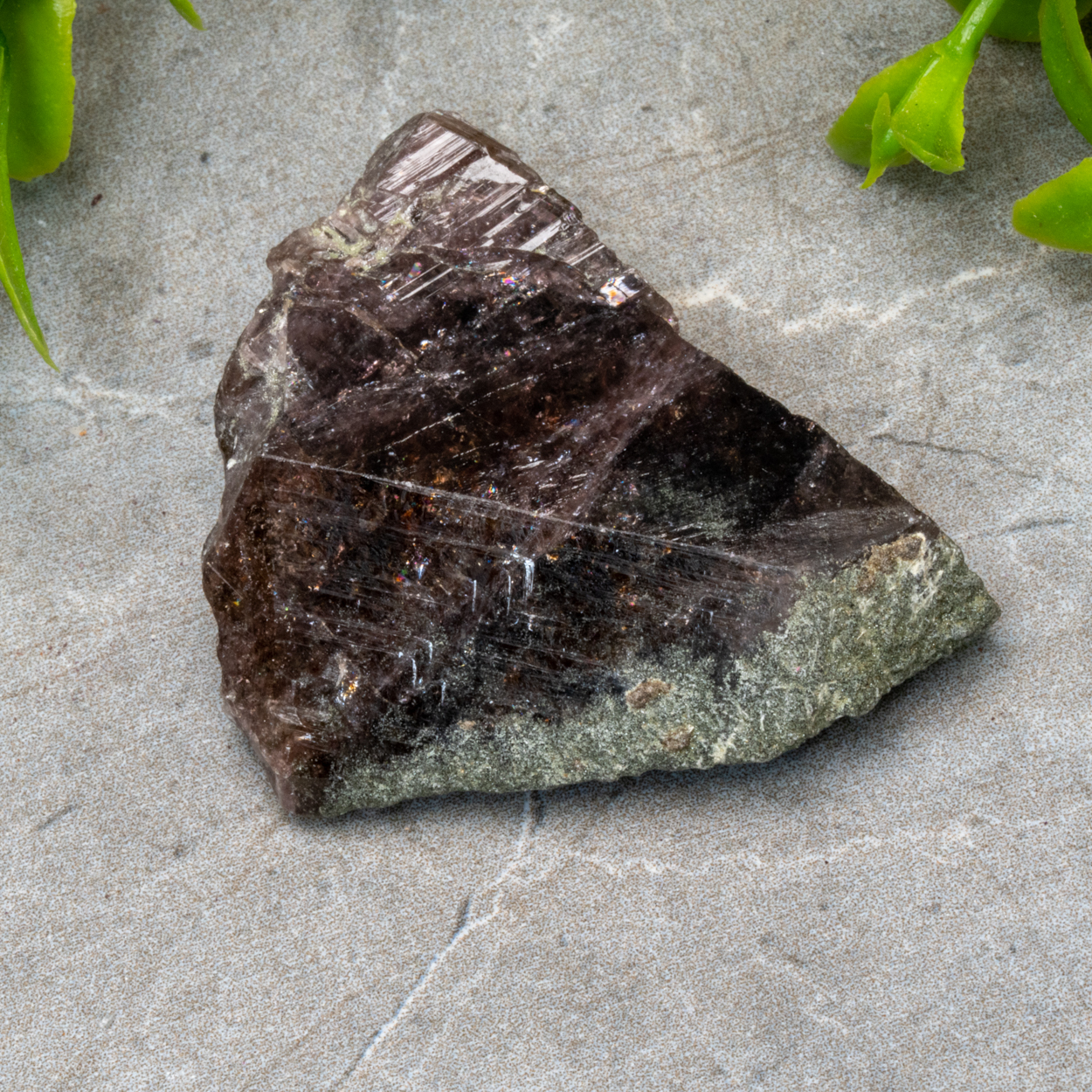 Axinite #3 - The Crystal Council