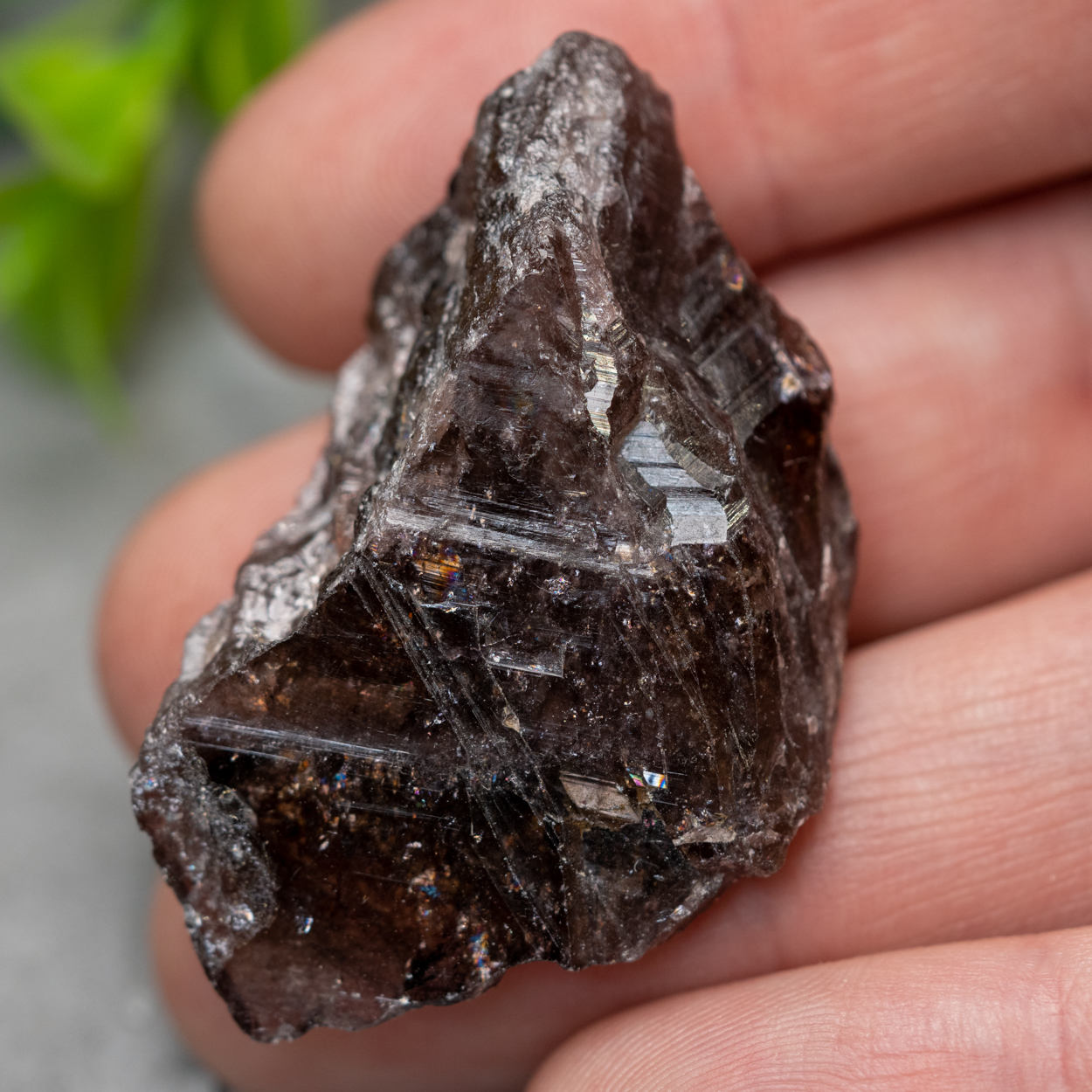 Axinite #1 - The Crystal Council