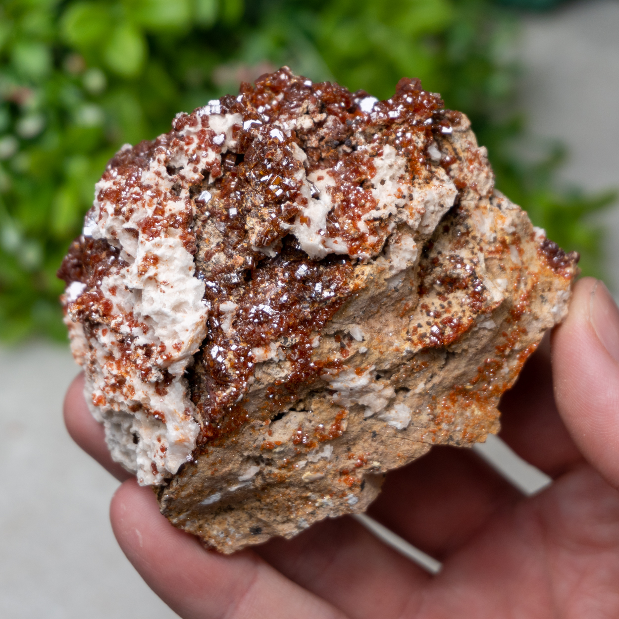 Vanadinite #3 - The Crystal Council