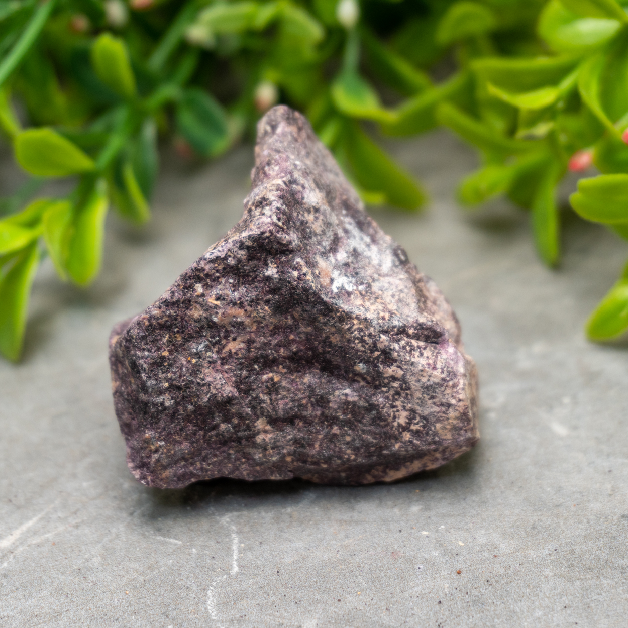 Sugilite #3 - The Crystal Council