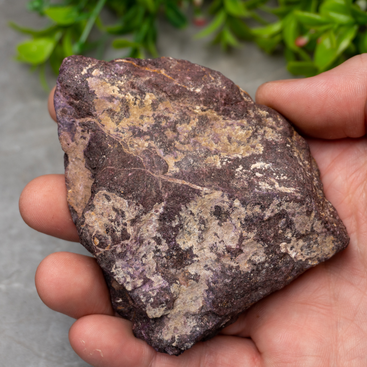 Sugilite #1 - The Crystal Council