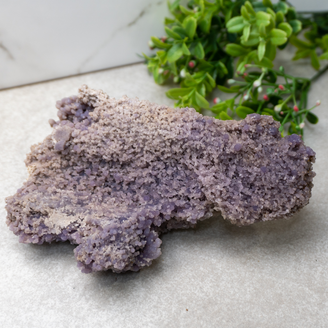 Grape Agate #3 - The Crystal Council