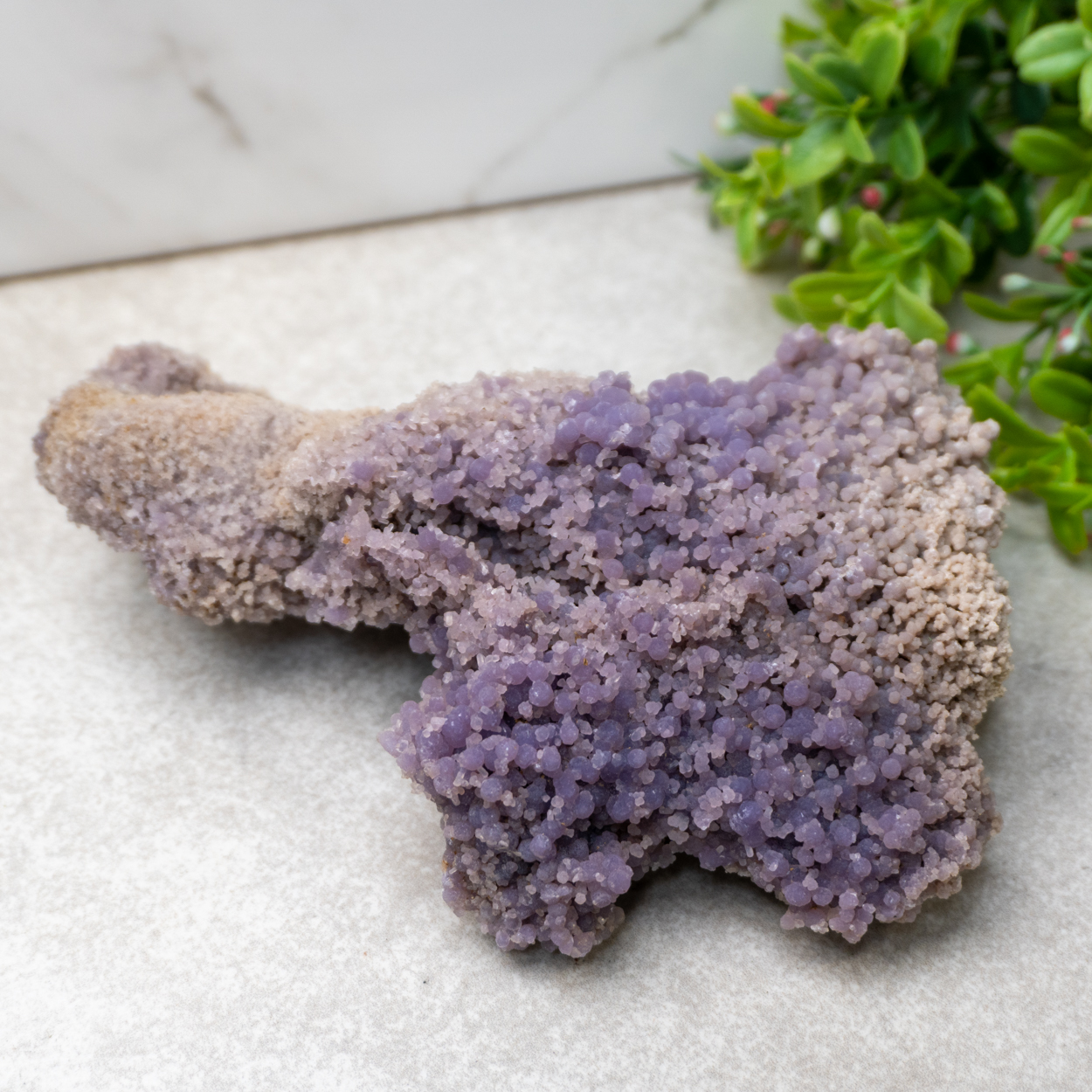 Grape Agate #3 - The Crystal Council