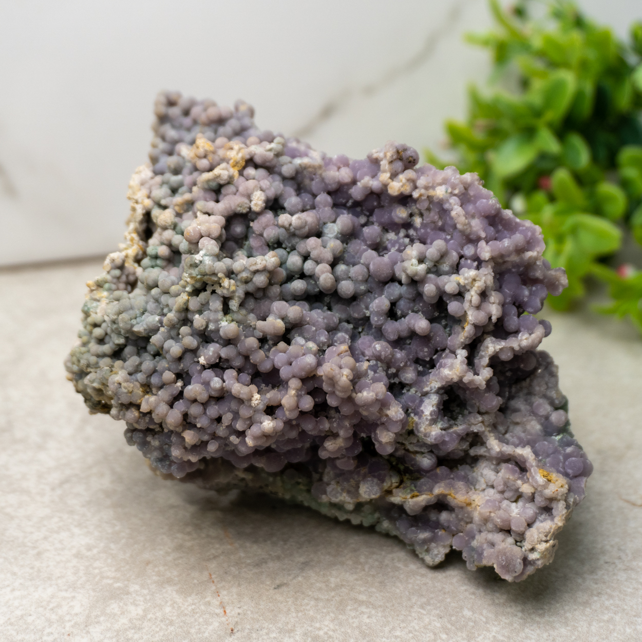 Grape Agate #2 - The Crystal Council