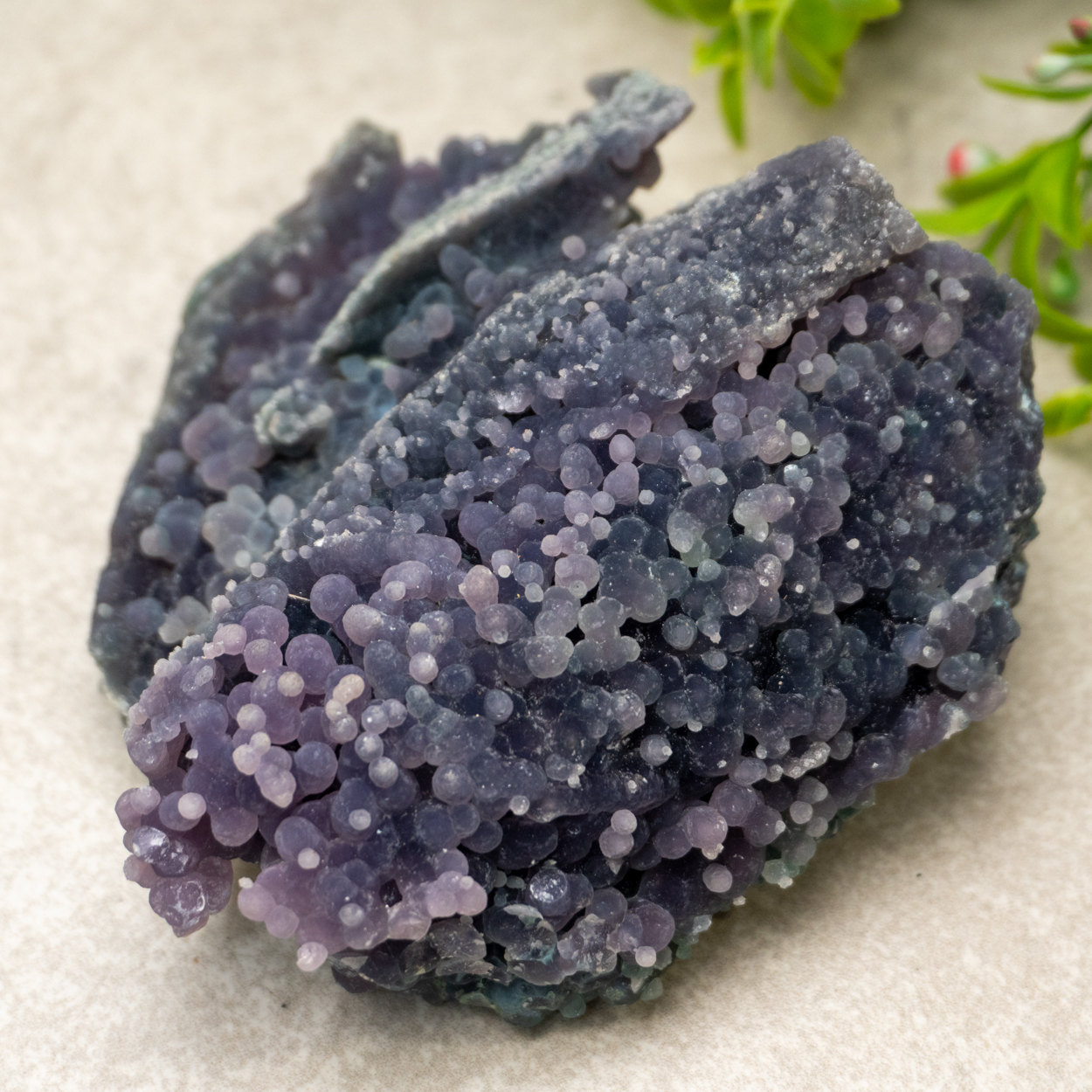 Grape Agate #1 - The Crystal Council