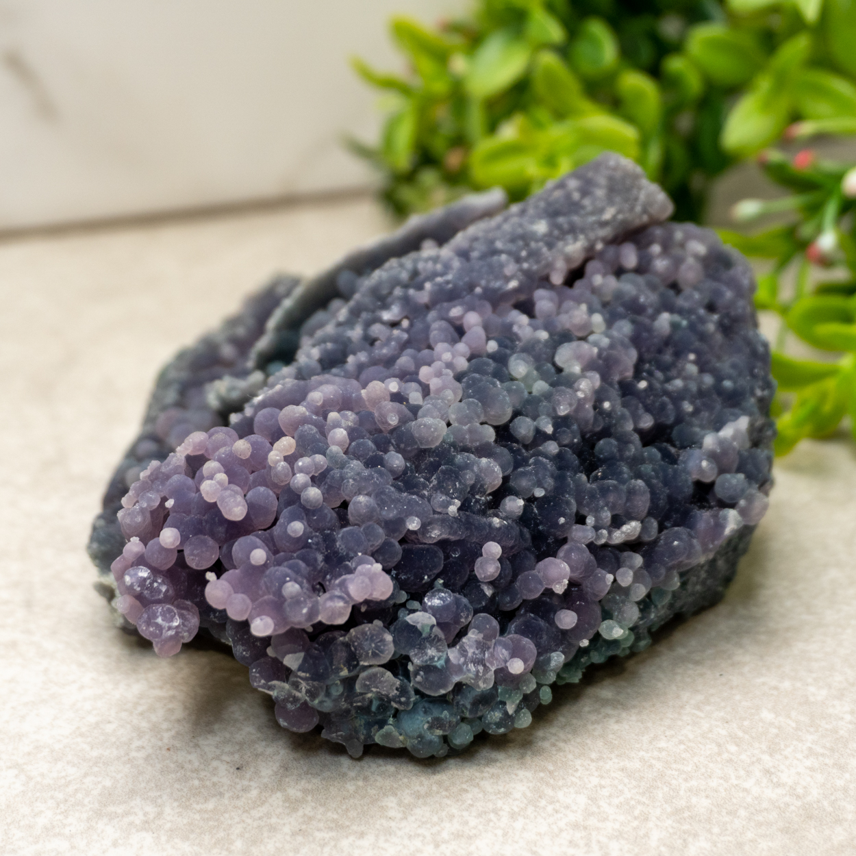 Grape Agate #1 - The Crystal Council
