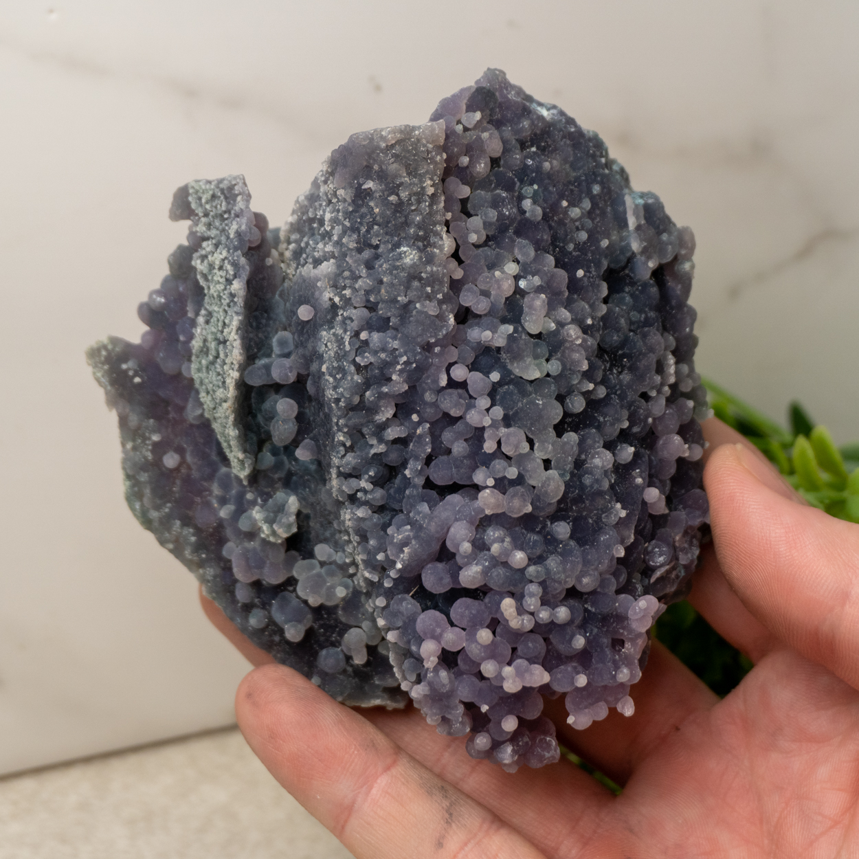 Grape Agate #1 - The Crystal Council