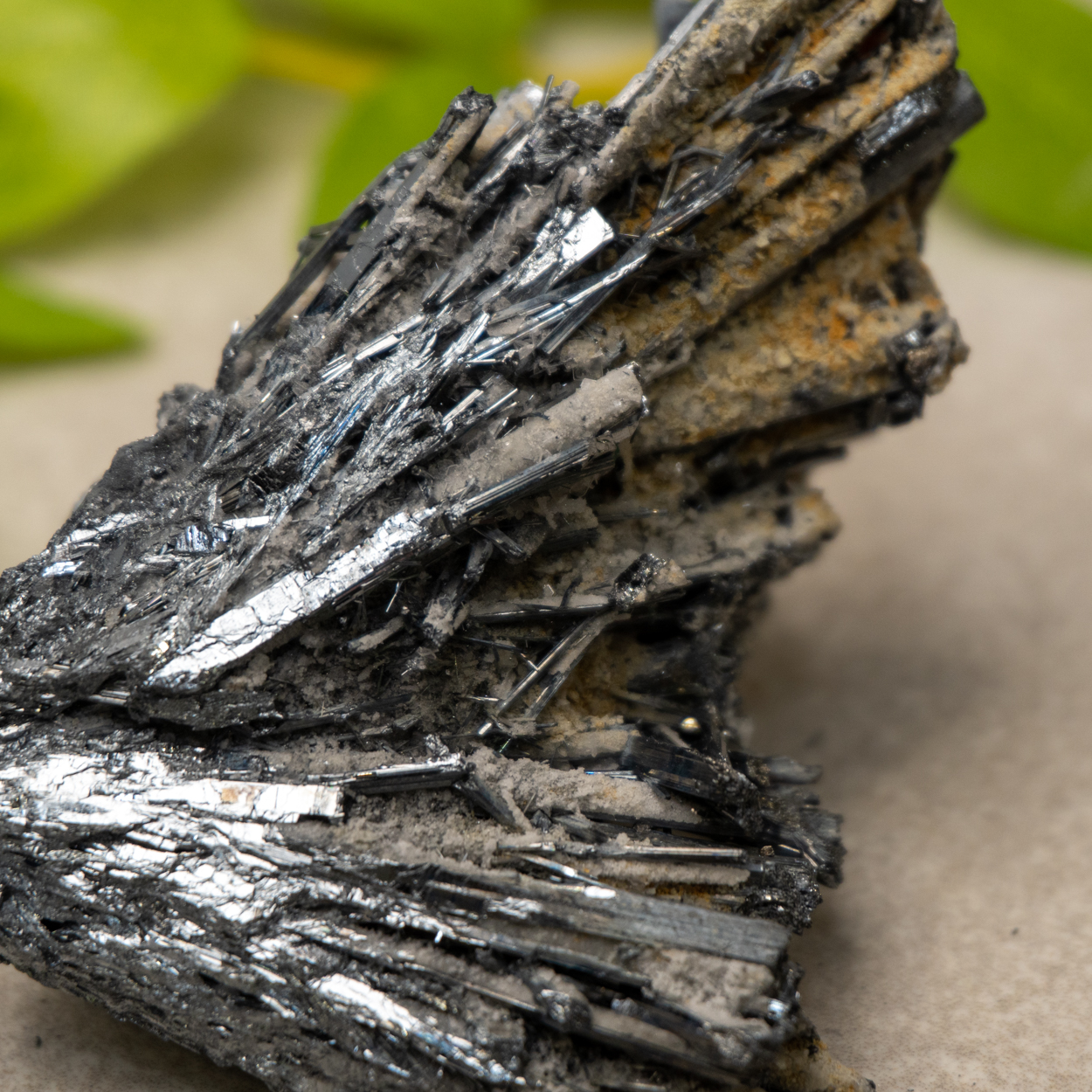 Stibnite #1 - The Crystal Council