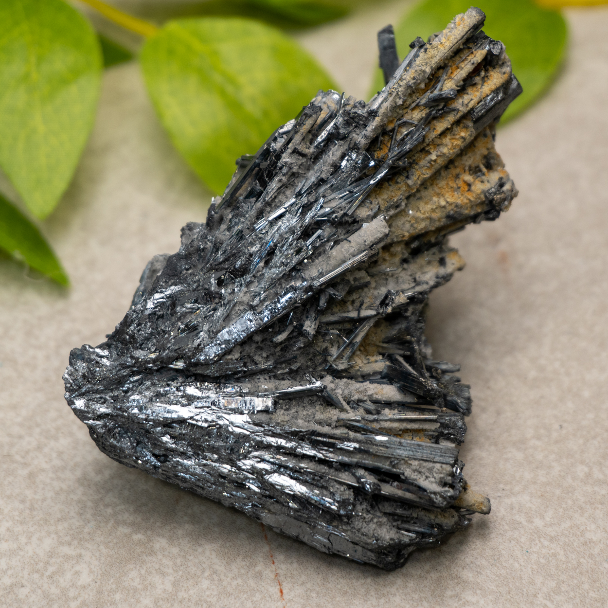 Stibnite #1 - The Crystal Council