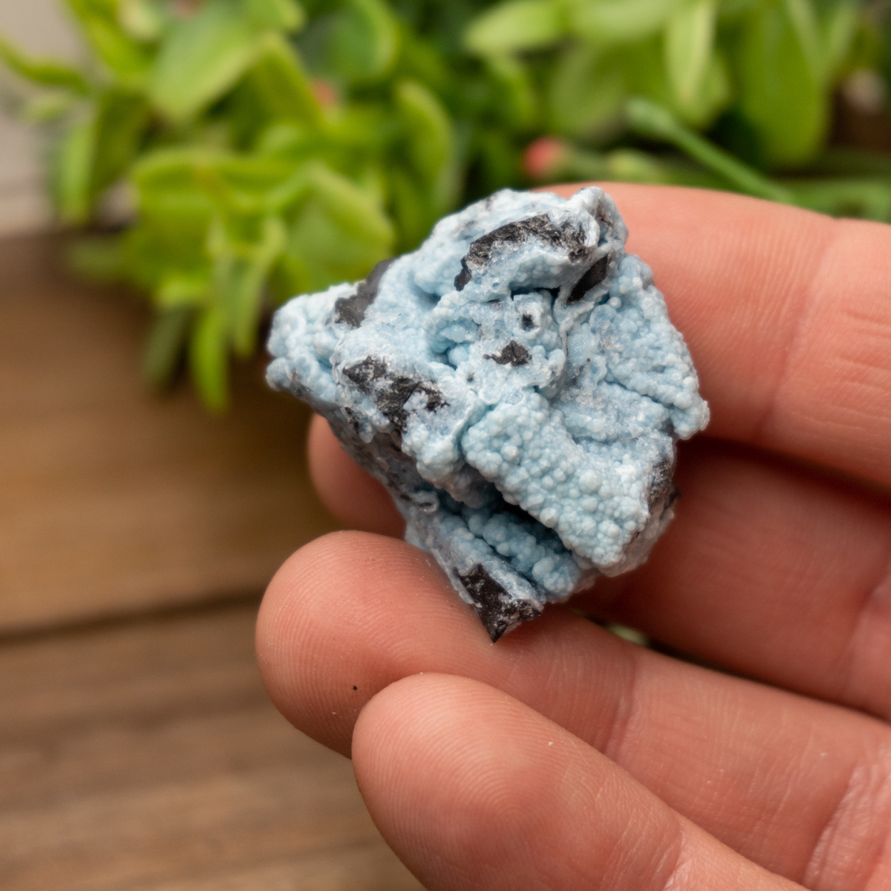 Gibbsite #5 - The Crystal Council