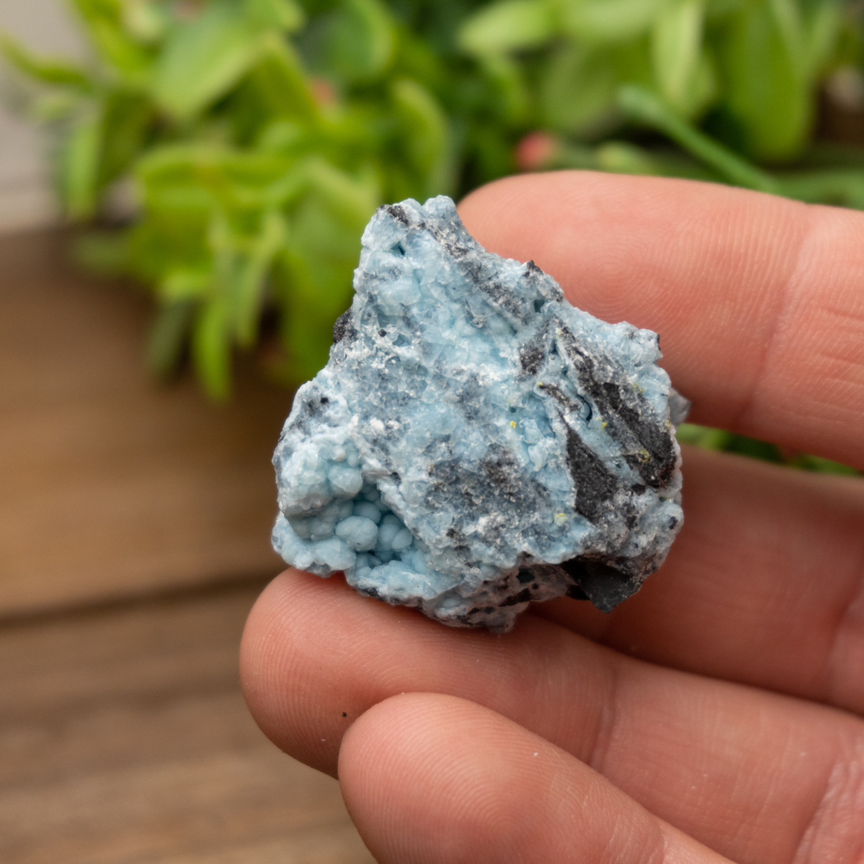 Gibbsite #5 - The Crystal Council