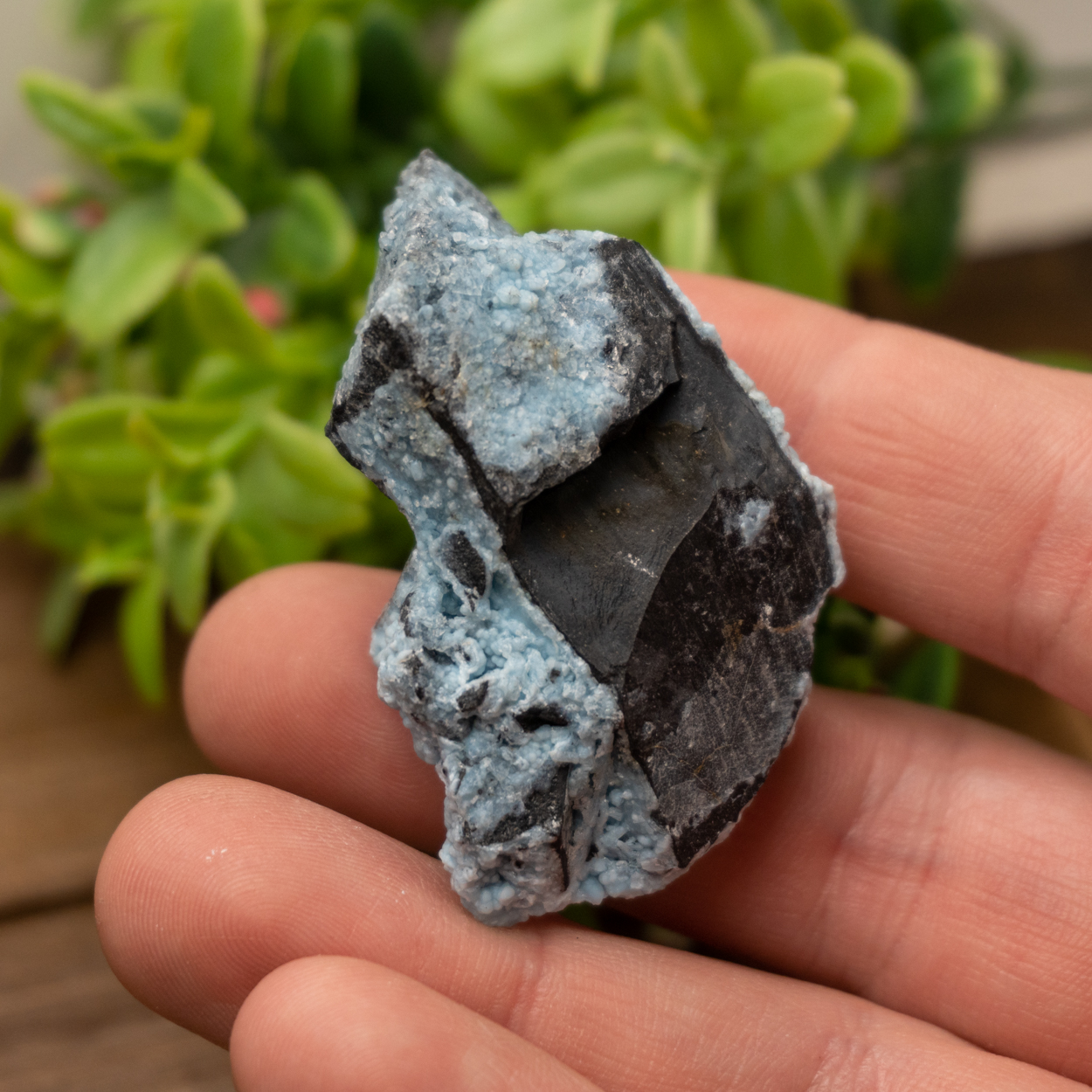 Gibbsite #3 - The Crystal Council