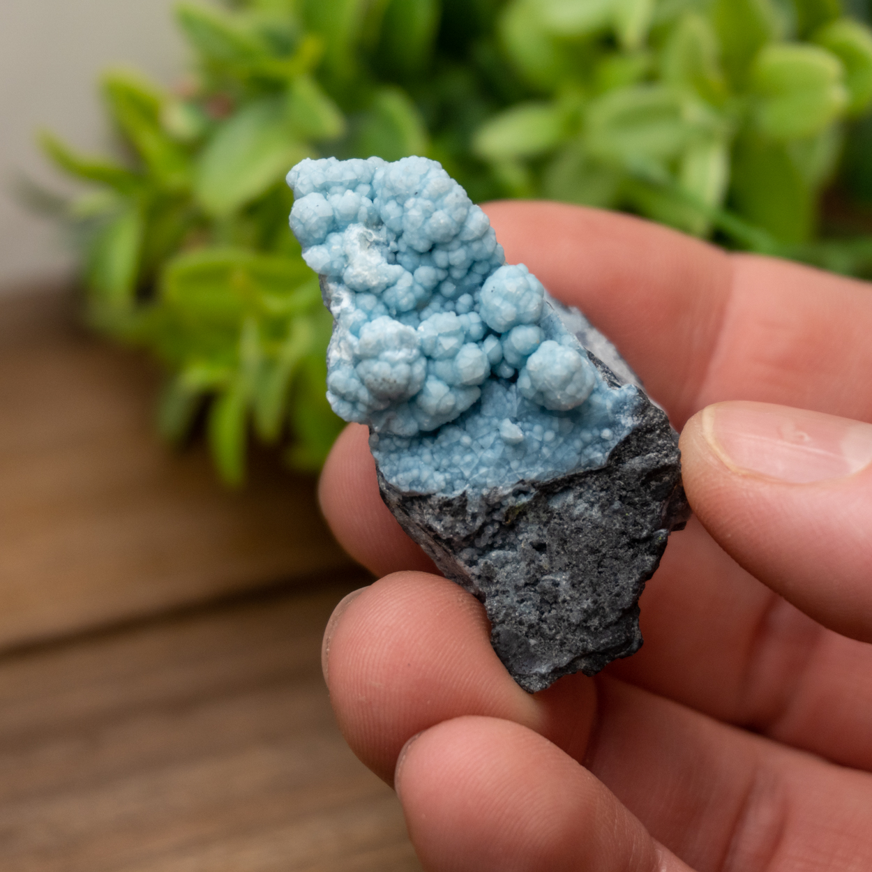 Gibbsite #2 - The Crystal Council