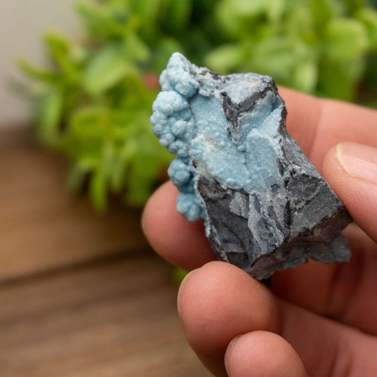 Gibbsite #2 - The Crystal Council