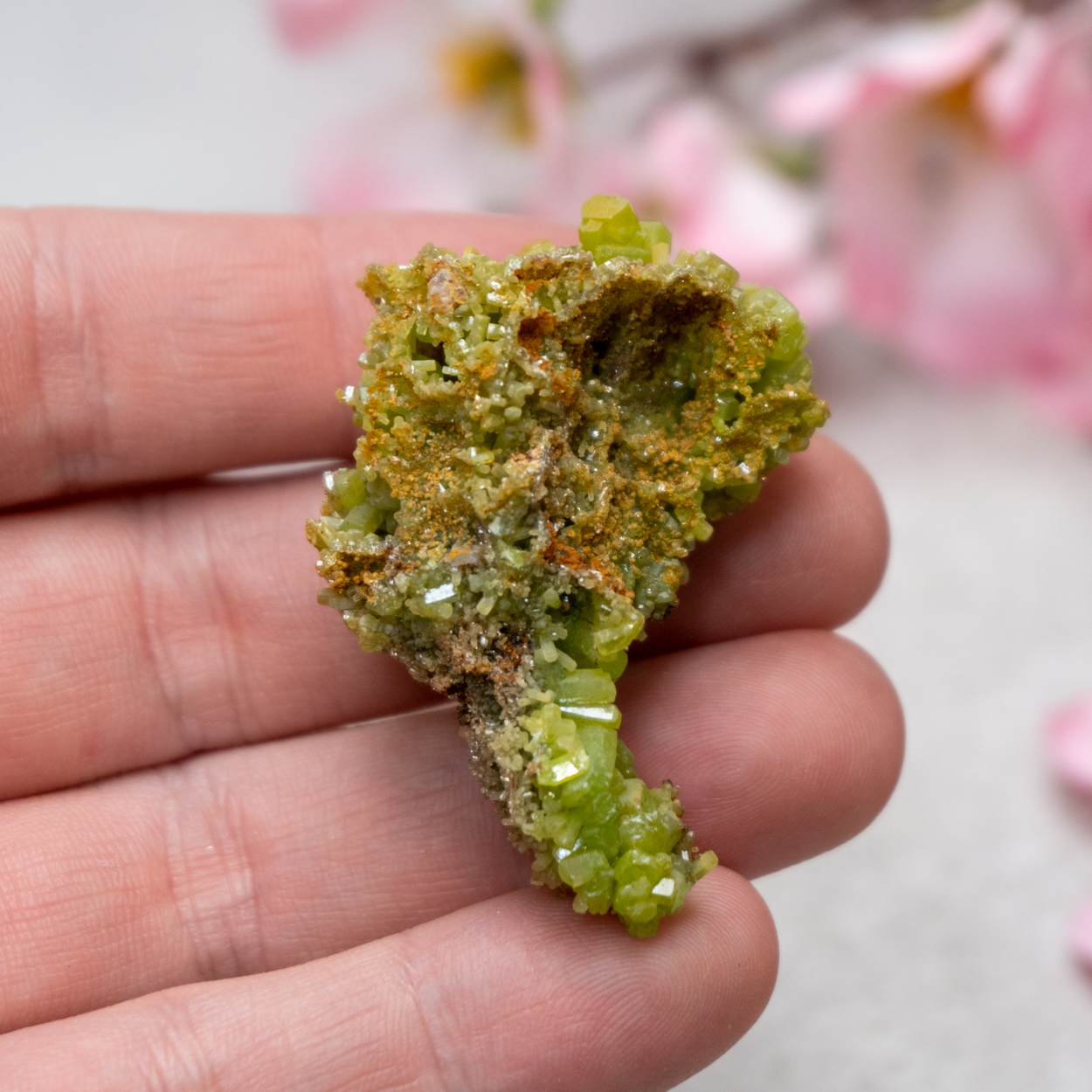 Pyromorphite #1 - The Crystal Council