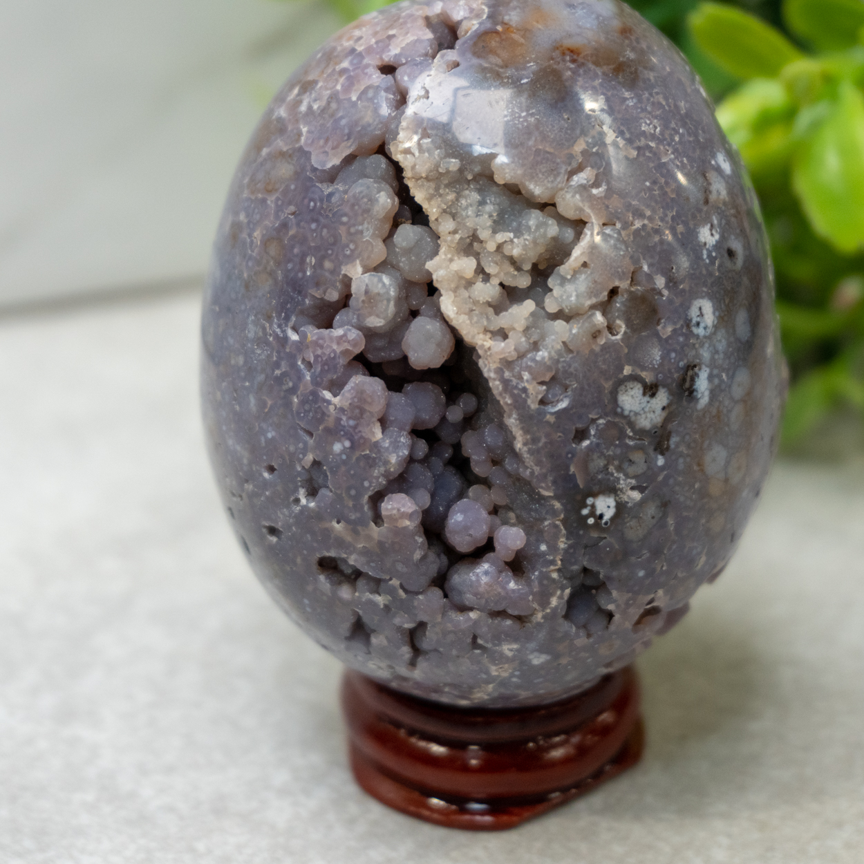 Grape Agate Egg #1 - The Crystal Council