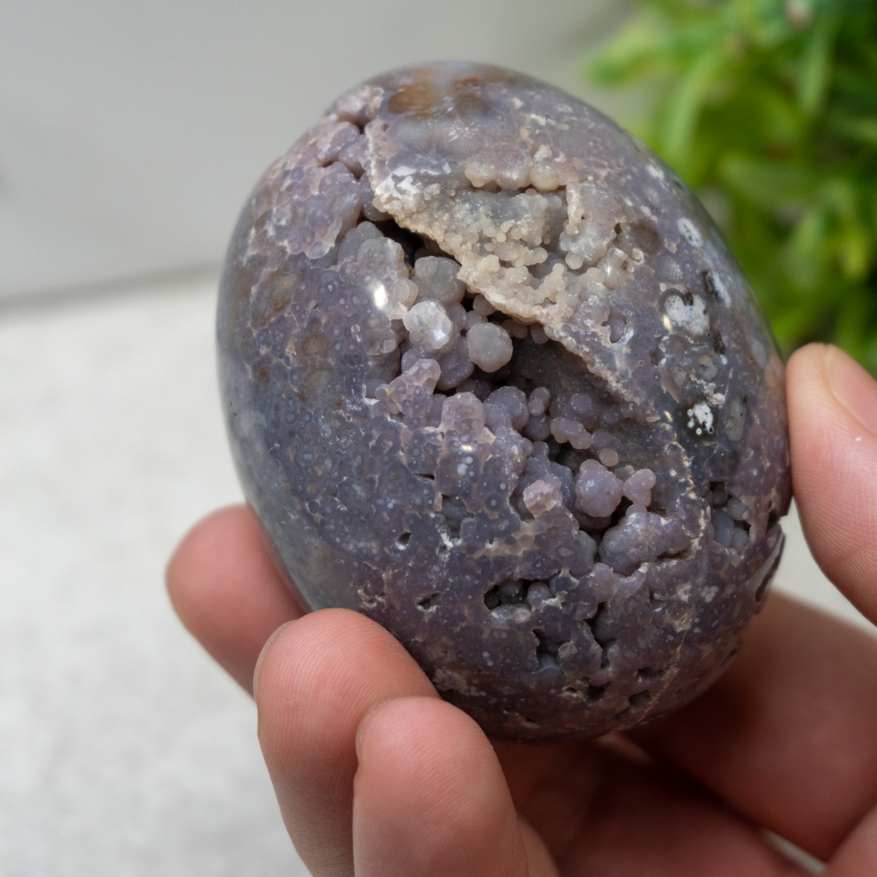 Grape Agate Egg #1 - The Crystal Council