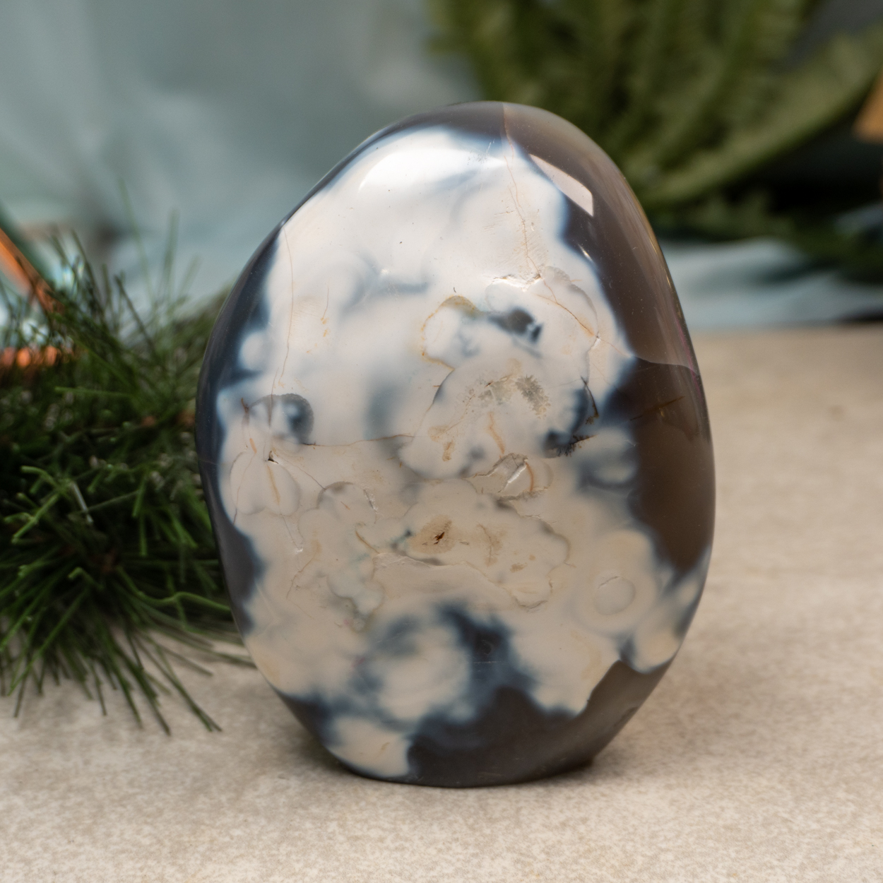 Orca Agate Free Form #15 - The Crystal Council