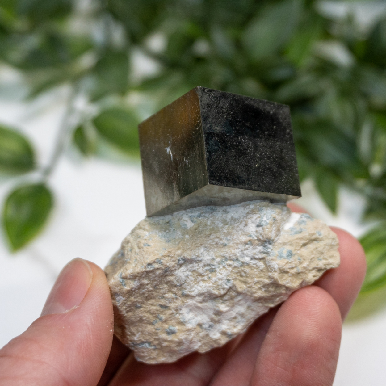 Pyrite Cube in Matrix #8 - The Crystal Council