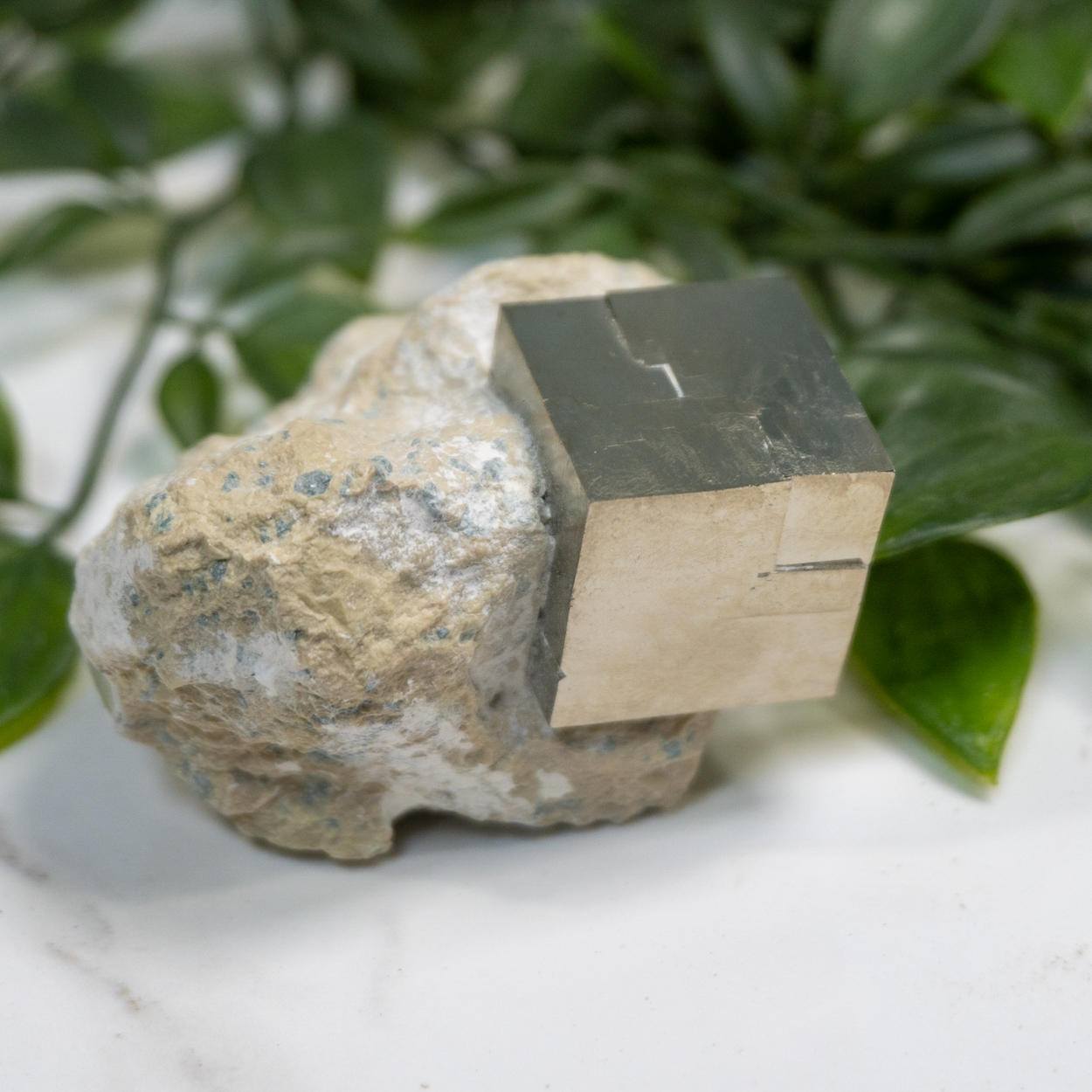 Pyrite Cube in Matrix #7 - The Crystal Council