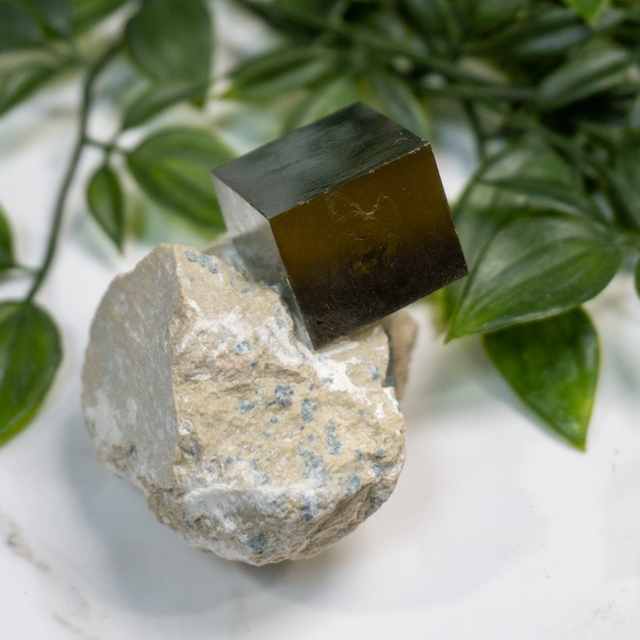 Pyrite Cube in Matrix #6 - The Crystal Council