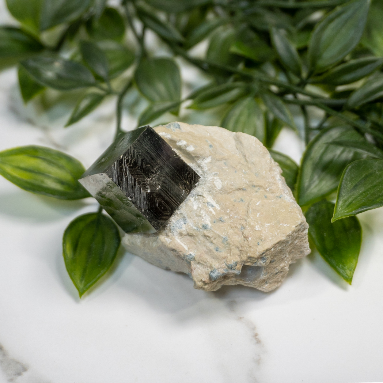 Pyrite Cube in Matrix #5 - The Crystal Council