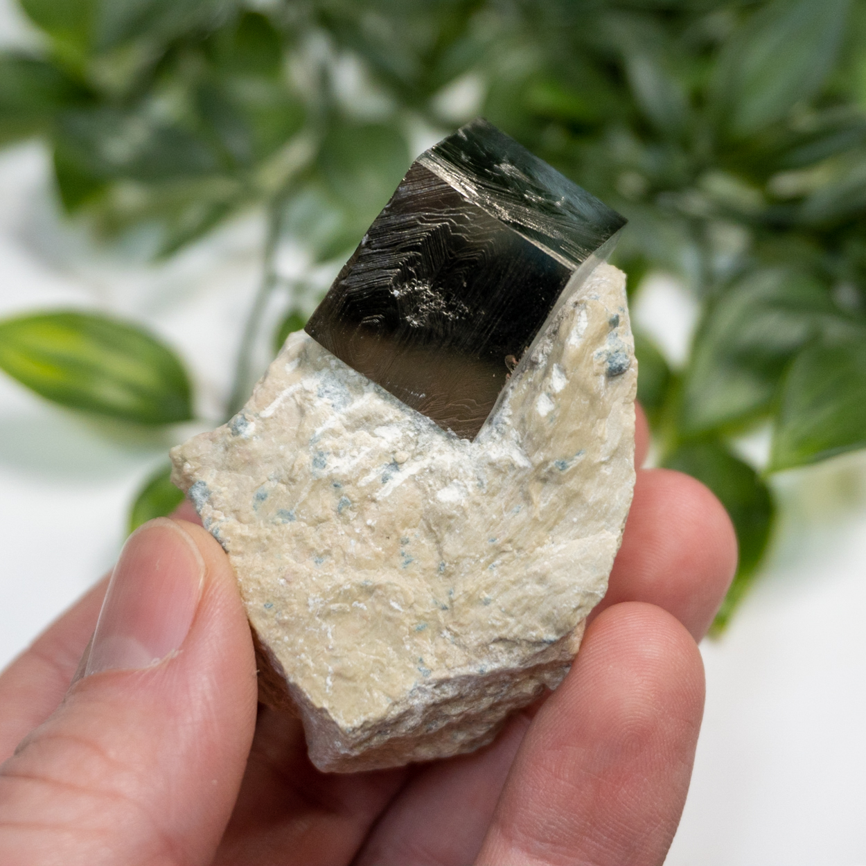 Pyrite Cube in Matrix #5 - The Crystal Council