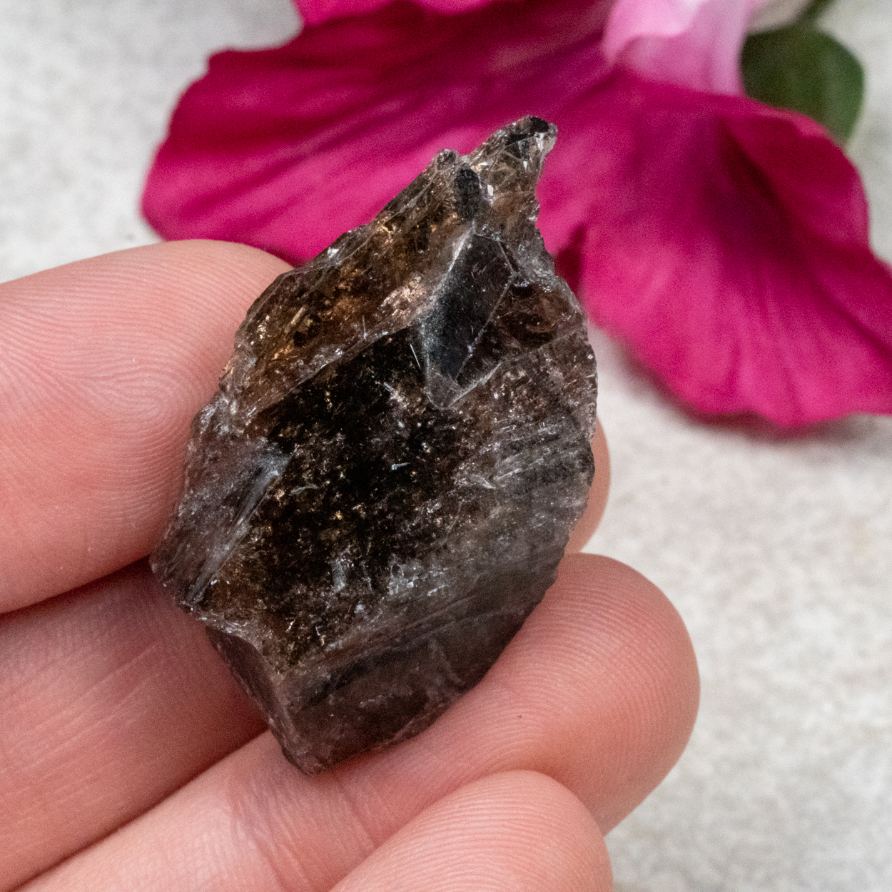 Axinite #6 - The Crystal Council