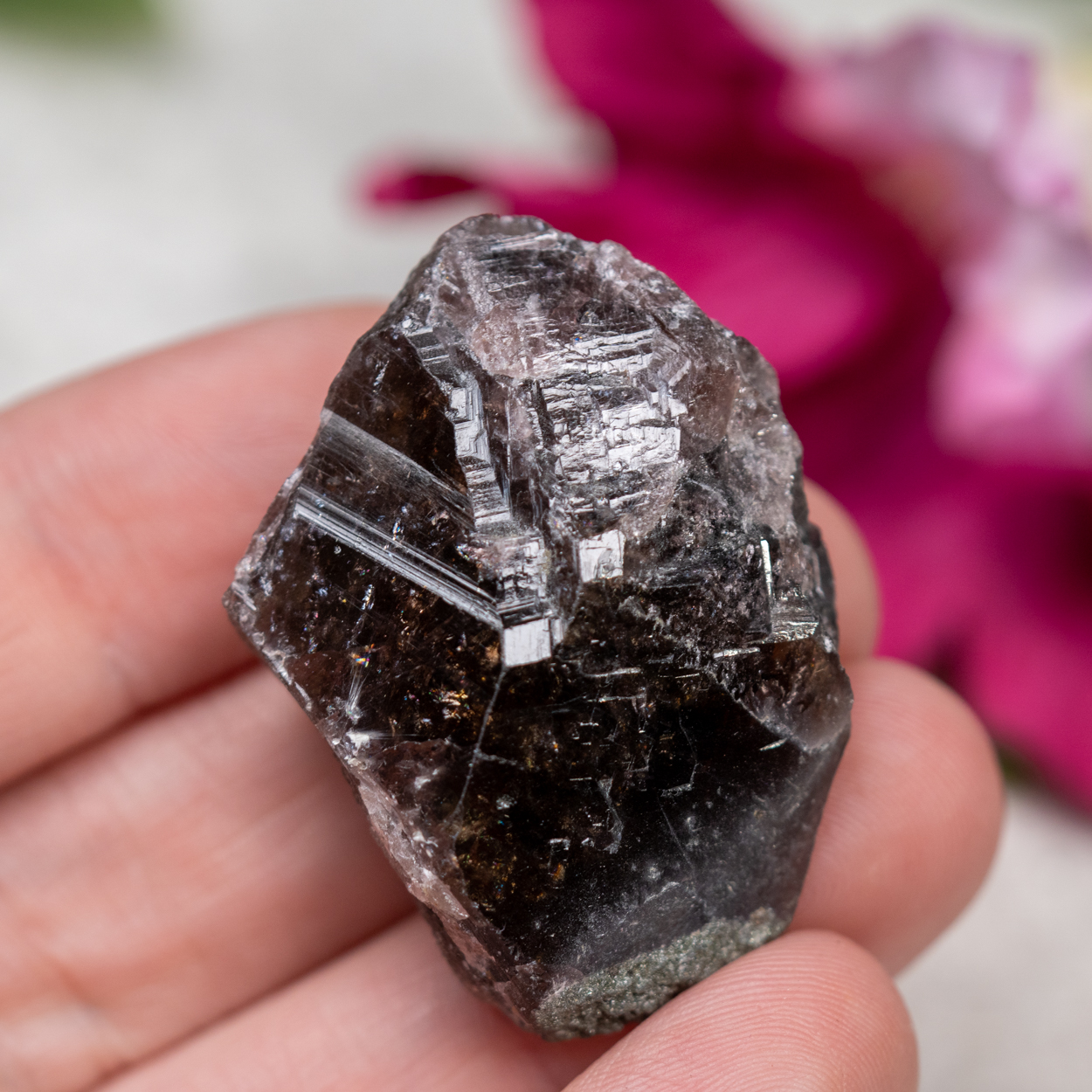 Axinite #4 - The Crystal Council