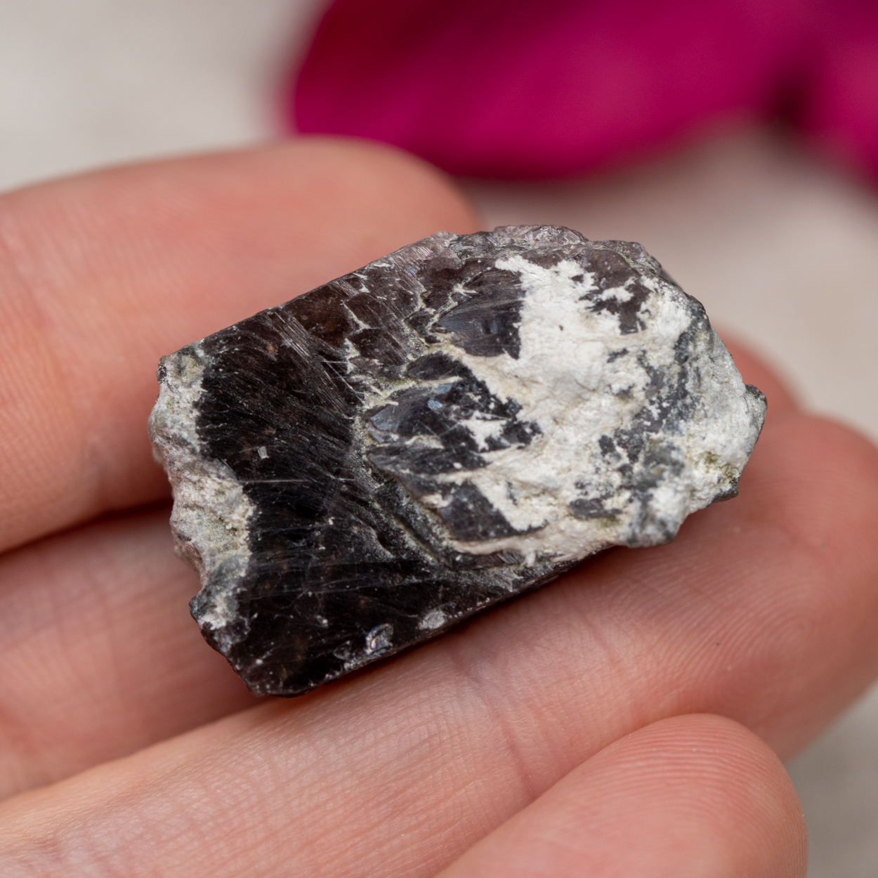 Axinite #2 - The Crystal Council