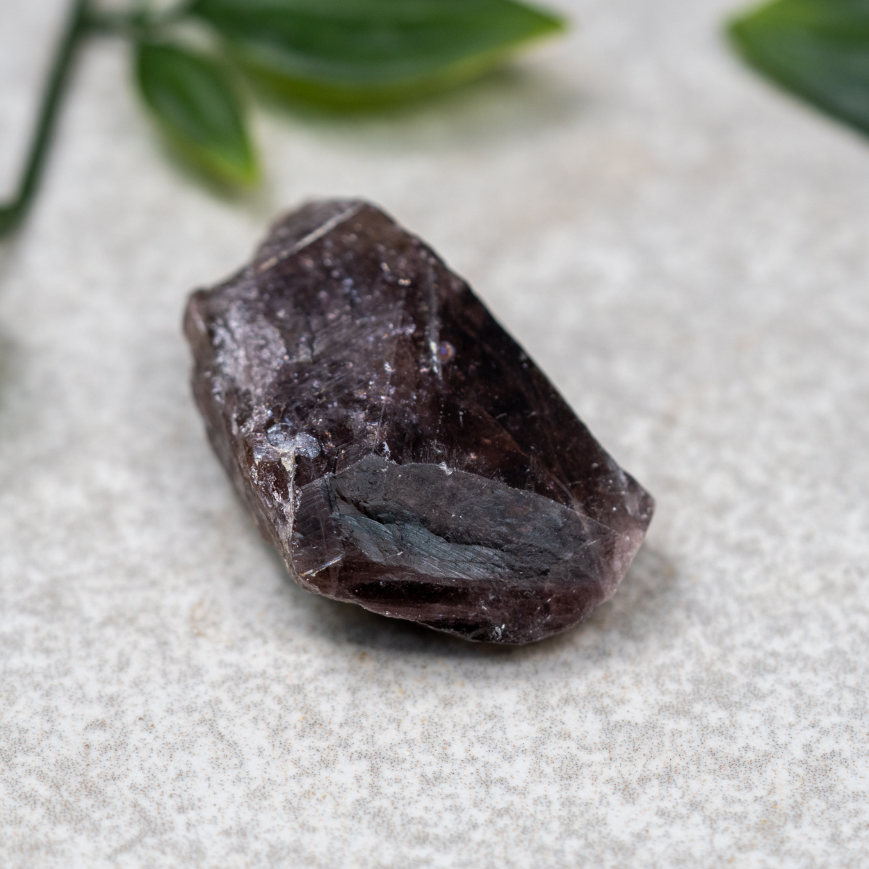 Axinite #1 - The Crystal Council