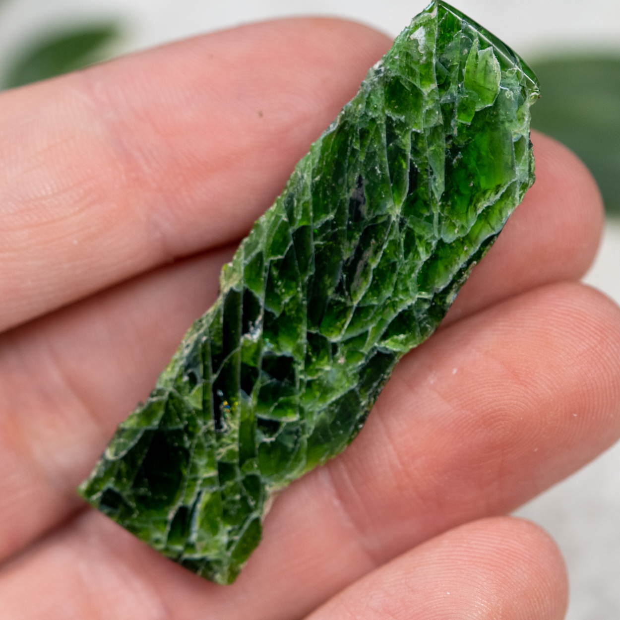 Chrome Diopside #3A - The Crystal Council