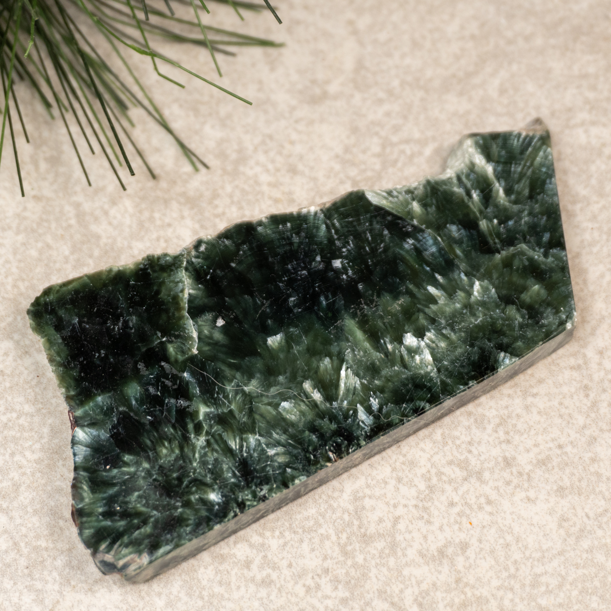 Seraphinite #6 - The Crystal Council