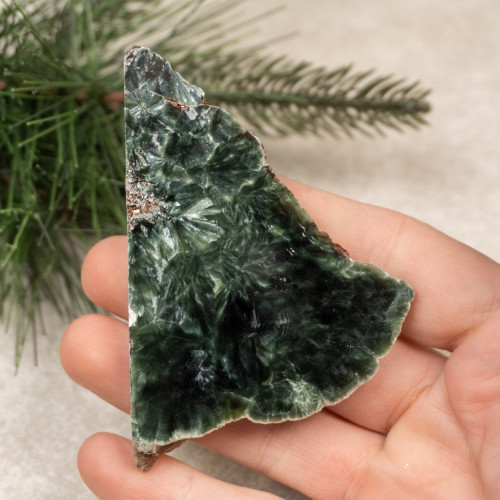 Seraphinite #5 - The Crystal Council