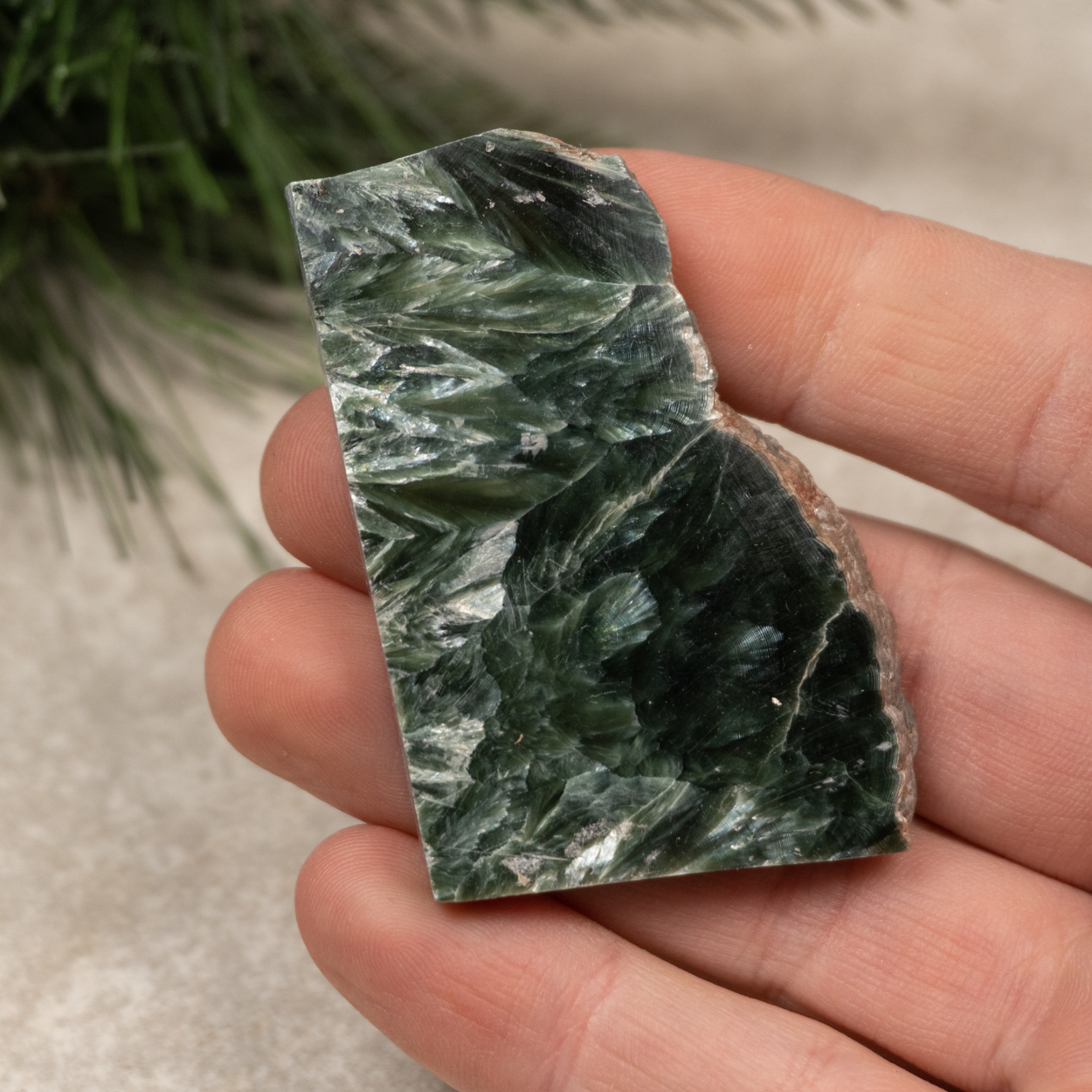 Seraphinite #2 - The Crystal Council