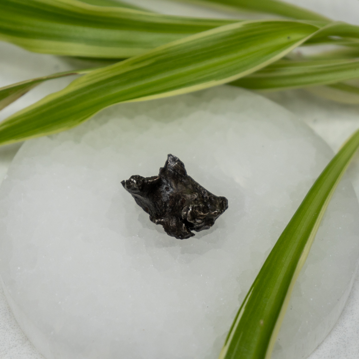 Natural Sikhote-Alin Meteor #7 - The Crystal Council