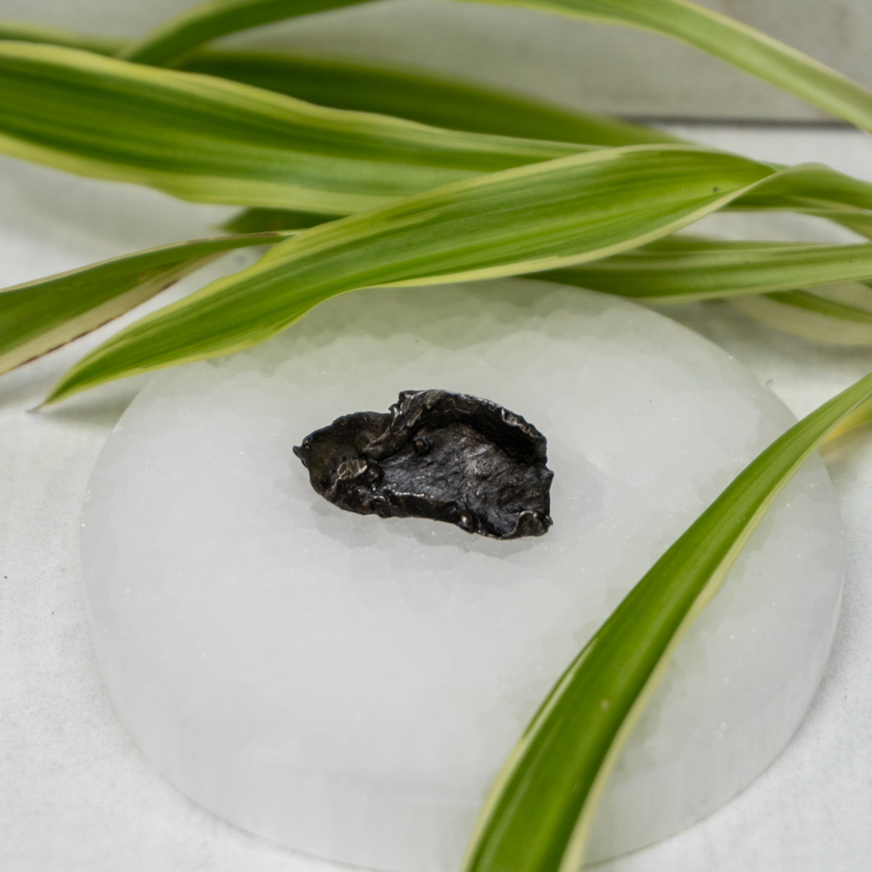 Natural Sikhote-Alin Meteor #8 - The Crystal Council