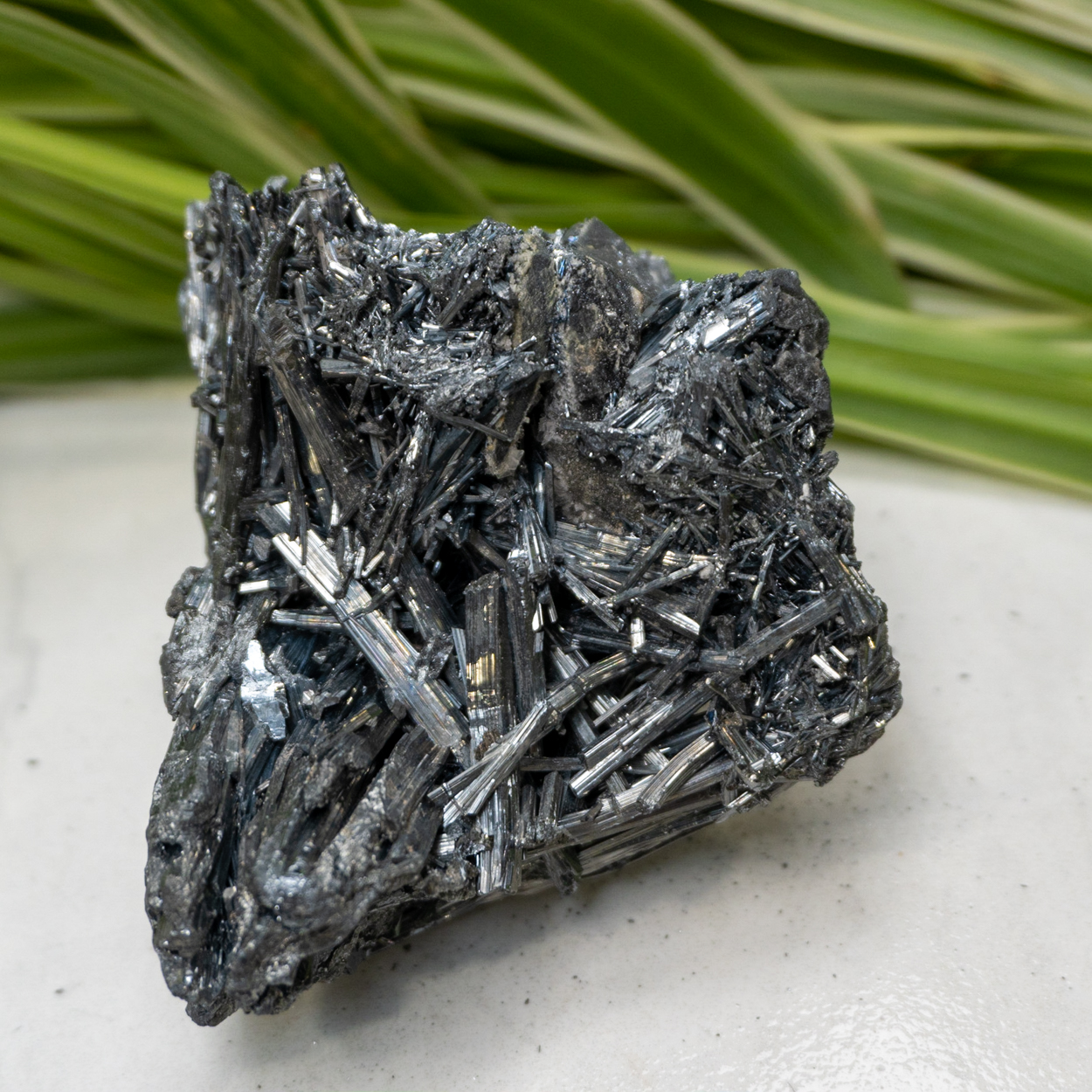 Stibnite #14 - The Crystal Council